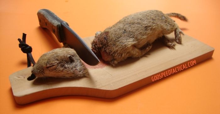 Swamp Rat: Rodent Solution | BladeForums.com