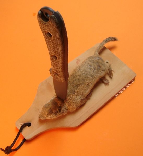 Swamp Rat: Rodent Solution | BladeForums.com