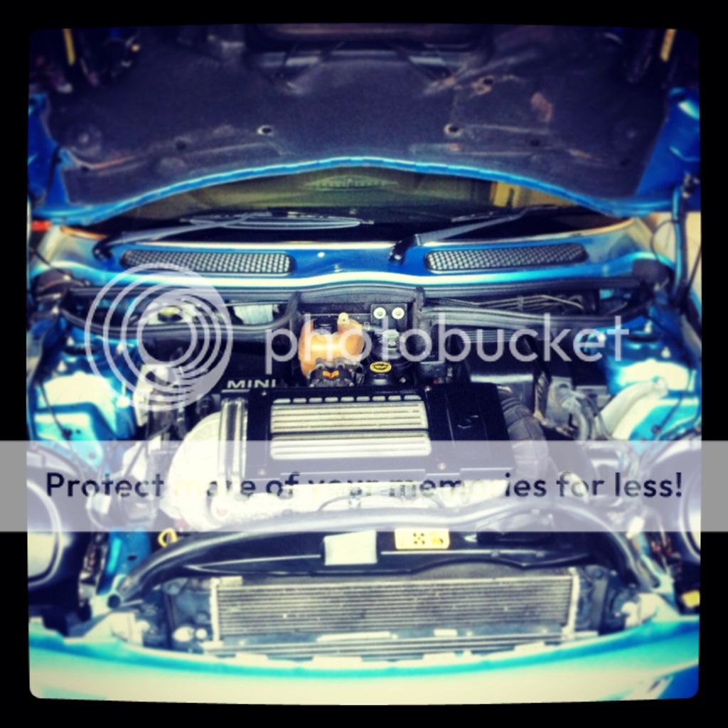 R53 Electric blue project! | MiniTorque.com